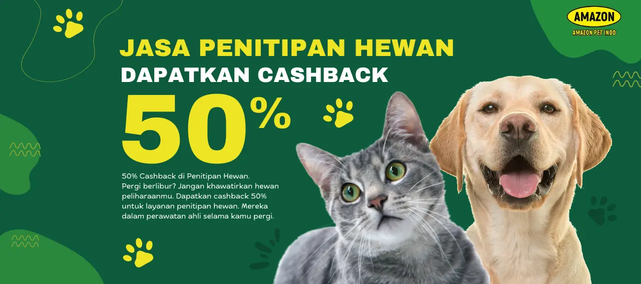 Blog - Amazon Pet Indo