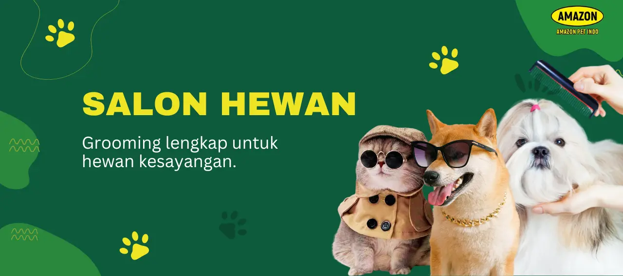 Salon Hewan - Amazon Pet Indo